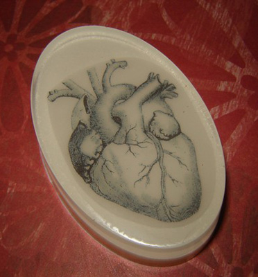 SteamBath Factory Anatomical Heart Soap : Delicious Boutique