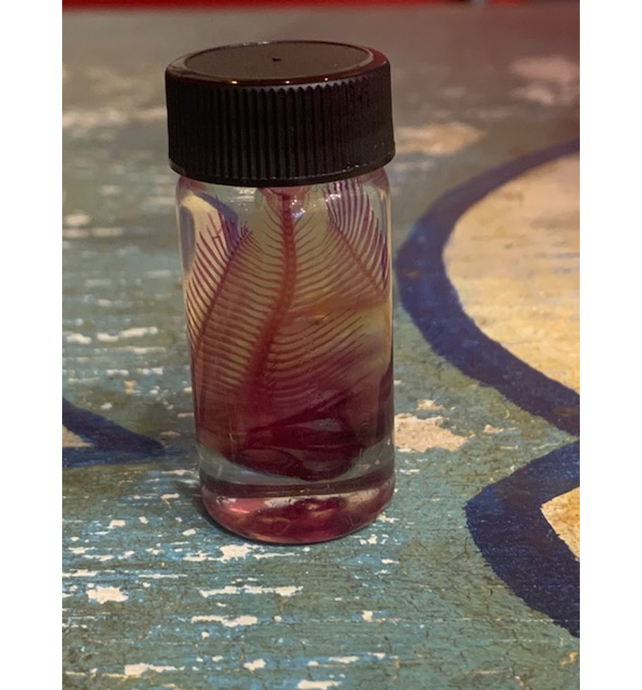 Nighttime Nicholas Fish - Small Round Vial : Delicious Boutique